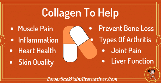 Best Collagen Supplement For Back Pain - Review